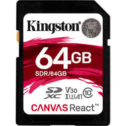 Best Memory Cards | Canon G7X Mark III | Alik Griffin