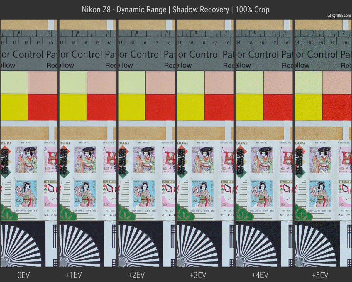 Nikon Z8 ISO & Dynamic Range Comparisons | Alik Griffin